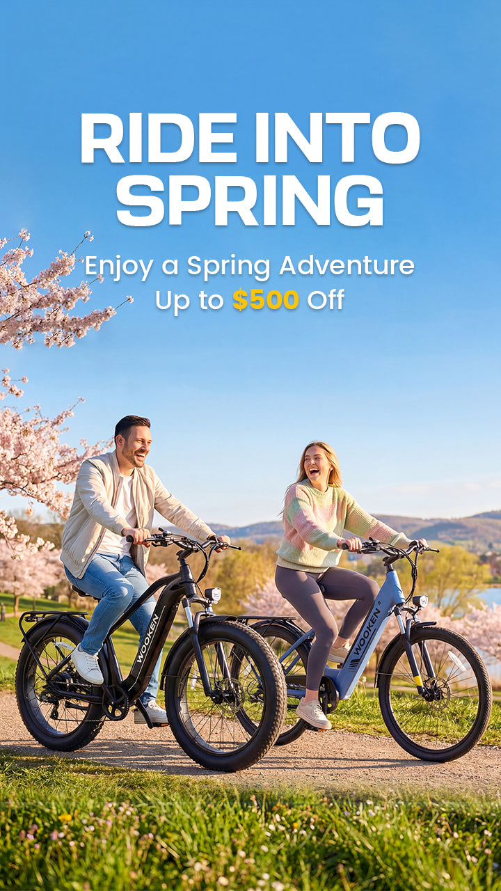 Wooken Bike | Best Performance Electric Bikes for Sale